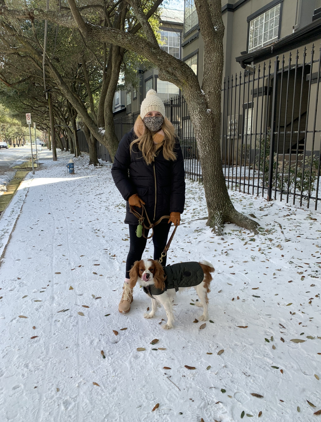 2021 Thrifty Pineapple Recap - Thrifty Pineapple